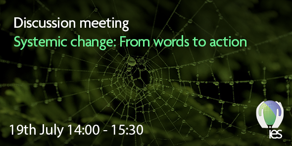 Systemic change: From words to action | www.the-ies.org Systemic change: From words to action | www.the-ies.org