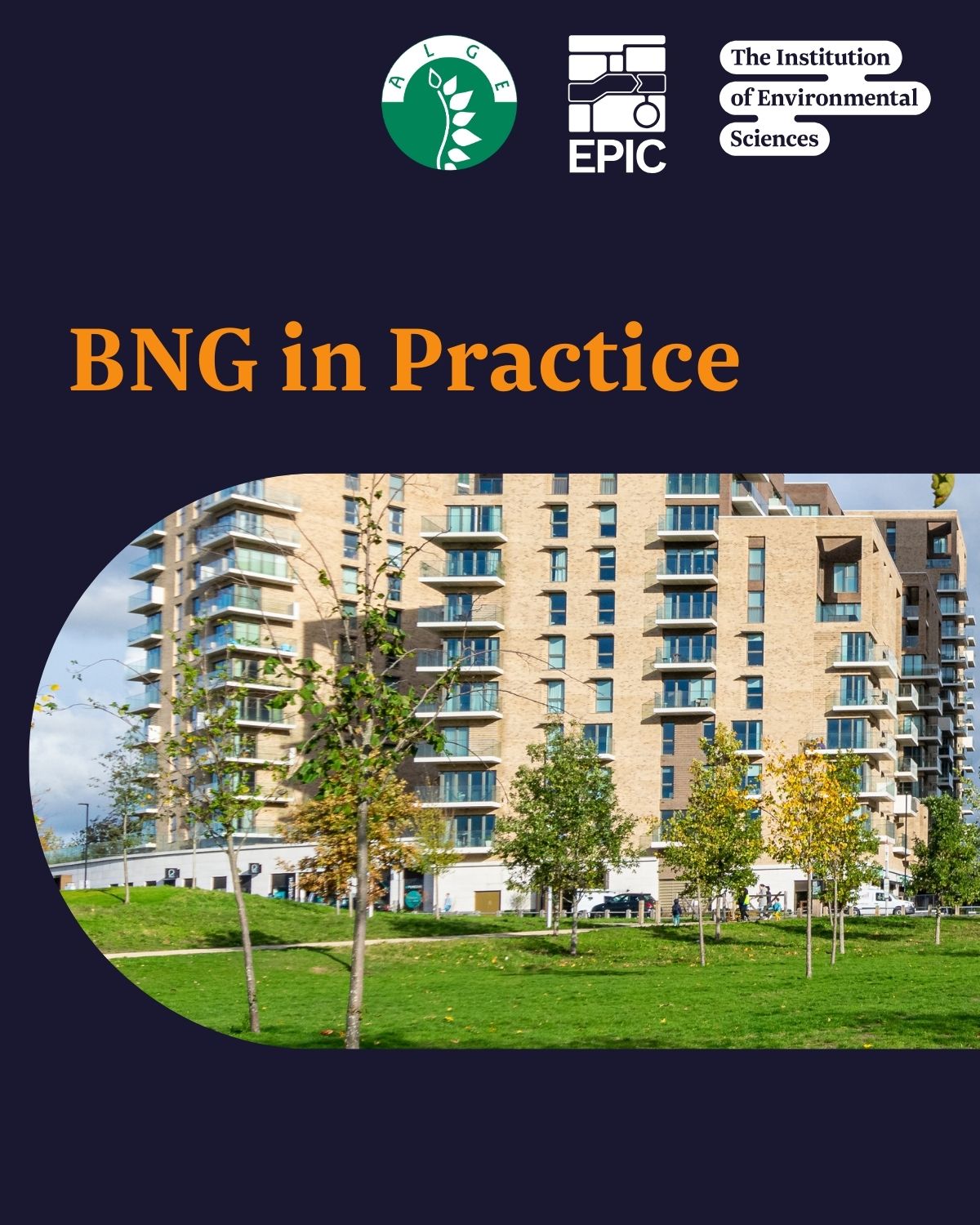BNG in Practice: One year on from mandatory implementation | www.the ...