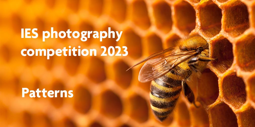 2023 IES photography competition open | www.the-ies.org