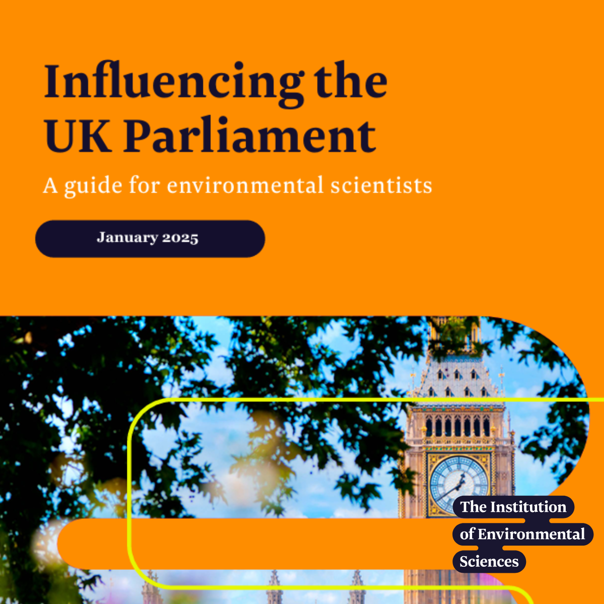 Influencing the UK Parliament | www.the-ies.org