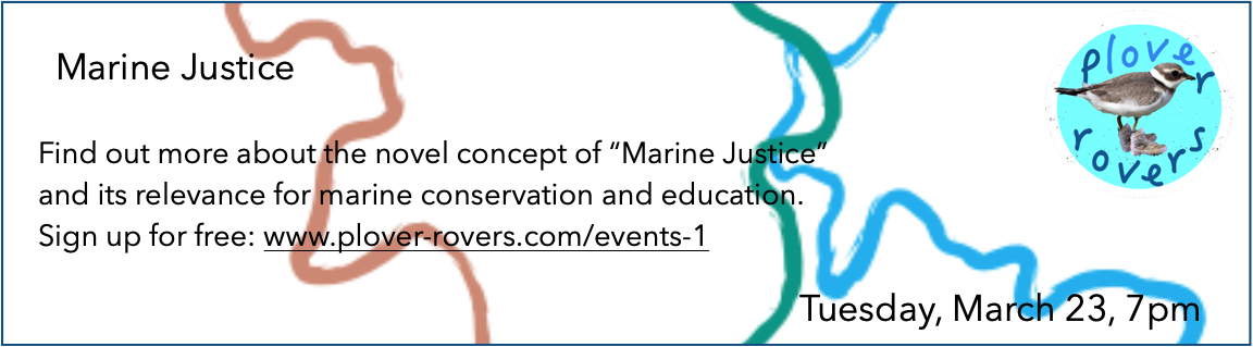 Marine Justice | www.the-ies.org