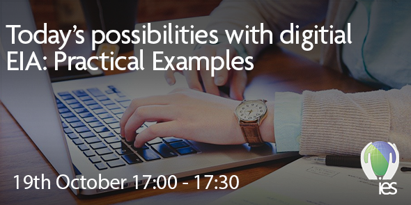 Today's possibilities with digital EIA: Practical examples | www.the-ies.org